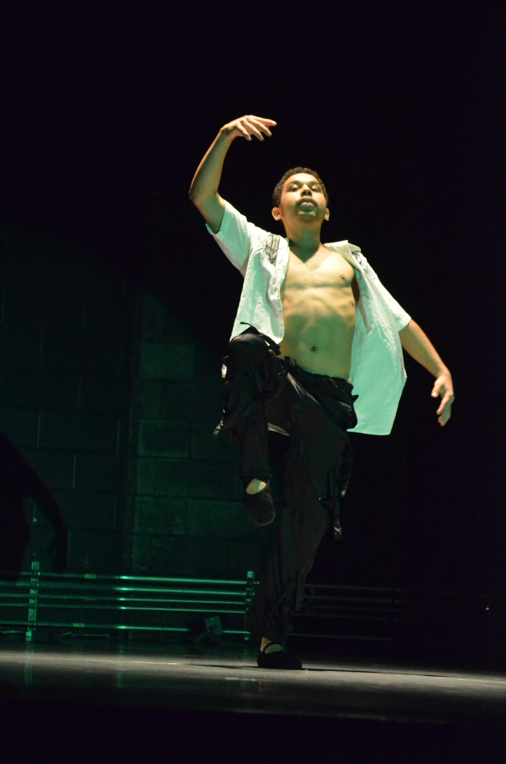 Dance Program – Arts Academy At Benjamin Rush